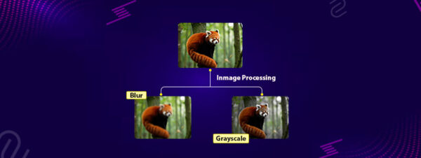 What is Image Processing? How it can be Done?